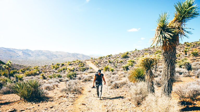 Solstice Canyon Loop: Shaded Hike with Ruins & Waterfall in Malibu ...