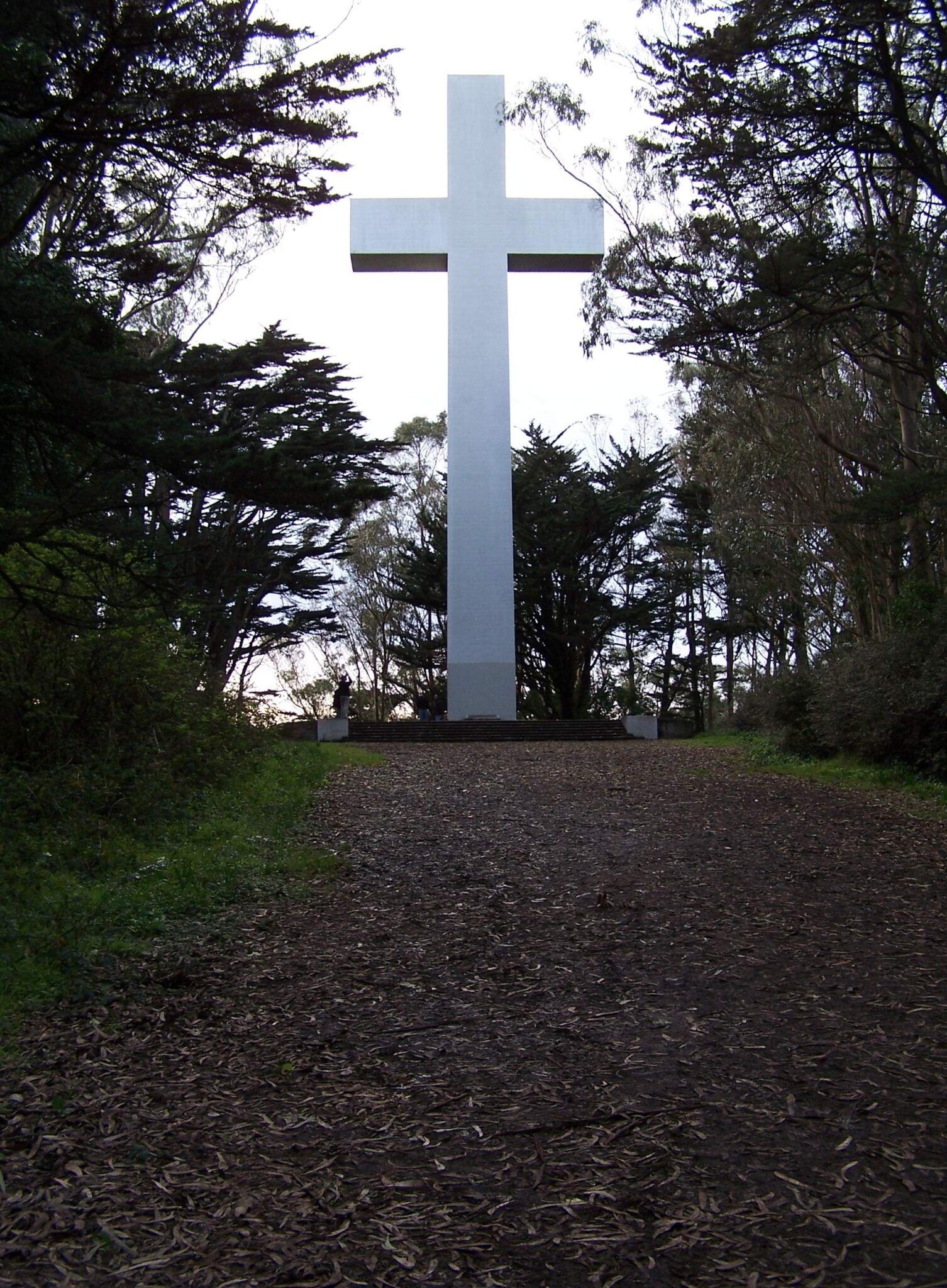 Mount Davidson: Highest Point Hike in San Francisco - Outdoor Holiday