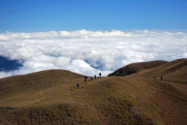 Mount Pulag Day Hike: Conquer Luzon's Highest Peak via Ambangeg Trail ...